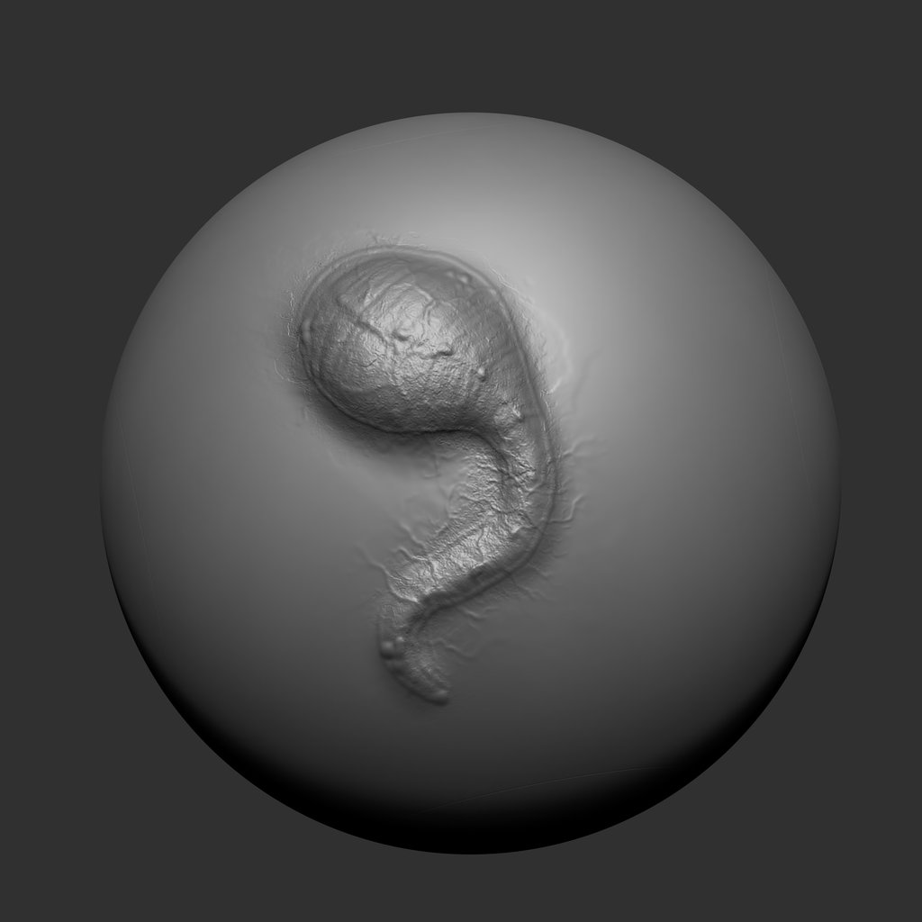 NS Alien Creature tadpole parasite | misc brushes | BlenderKit