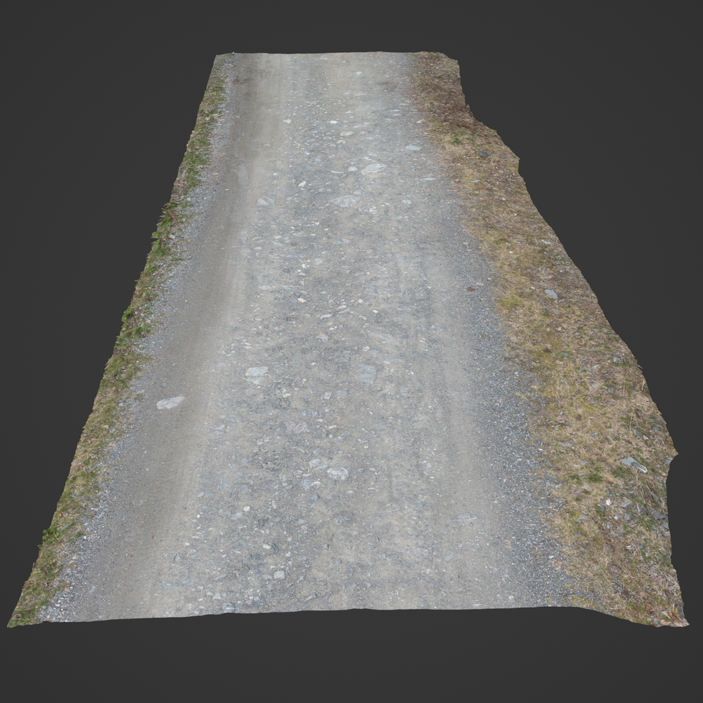 Dirt Road Photoscan | Landscapes models | BlenderKit