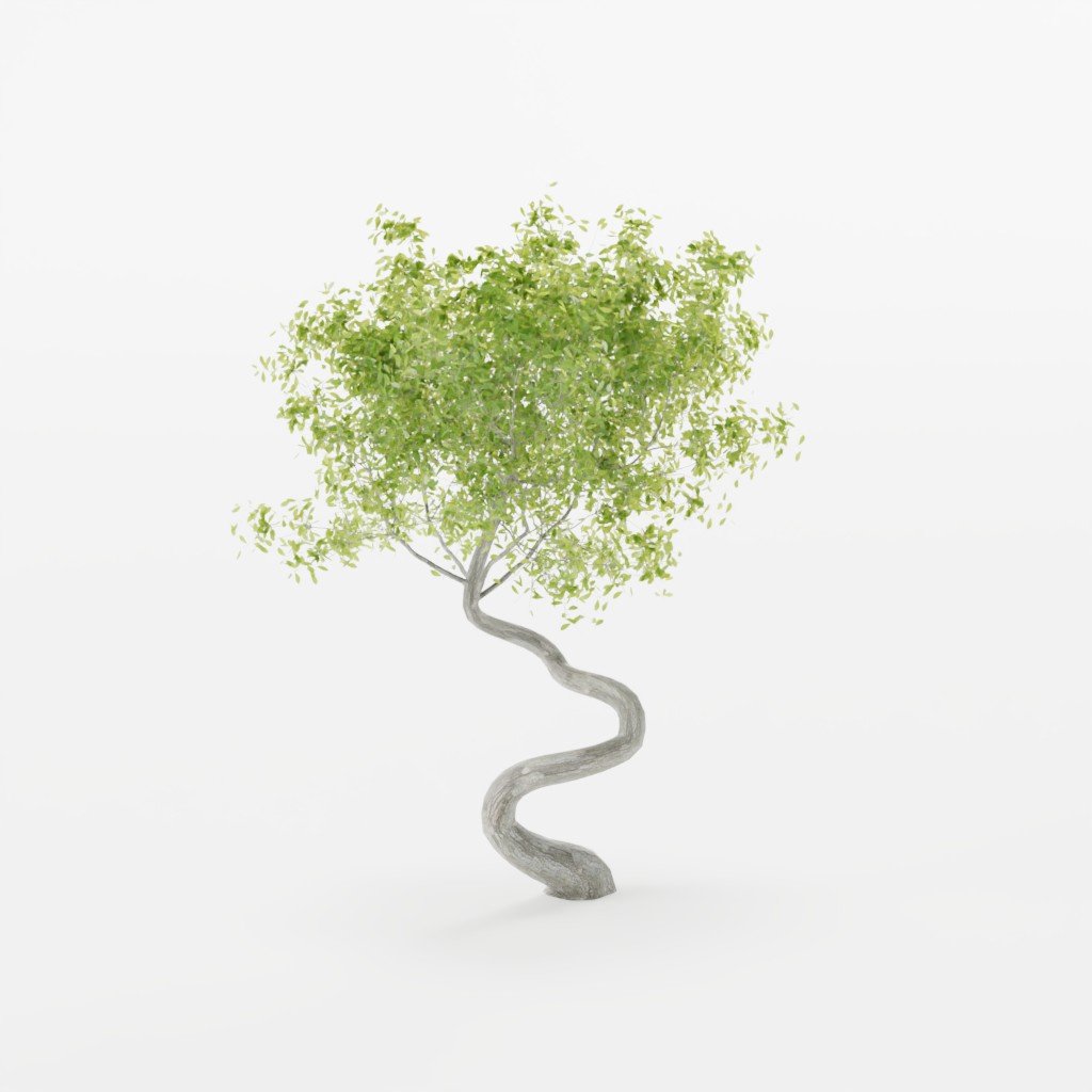 Curved Broadleaf Tree | Trees models | BlenderKit