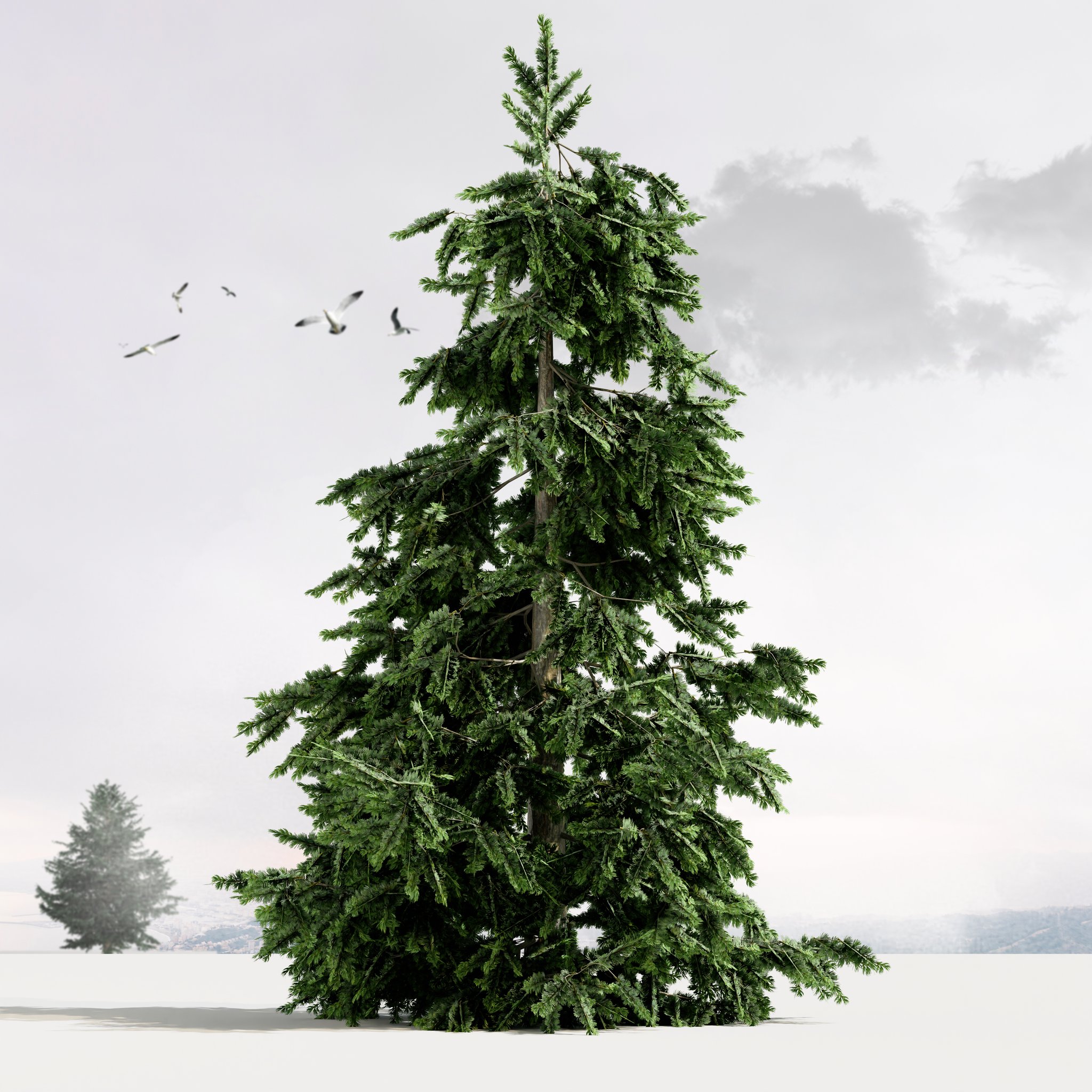 Tree Cedrus spring autumn | Trees models | BlenderKit
