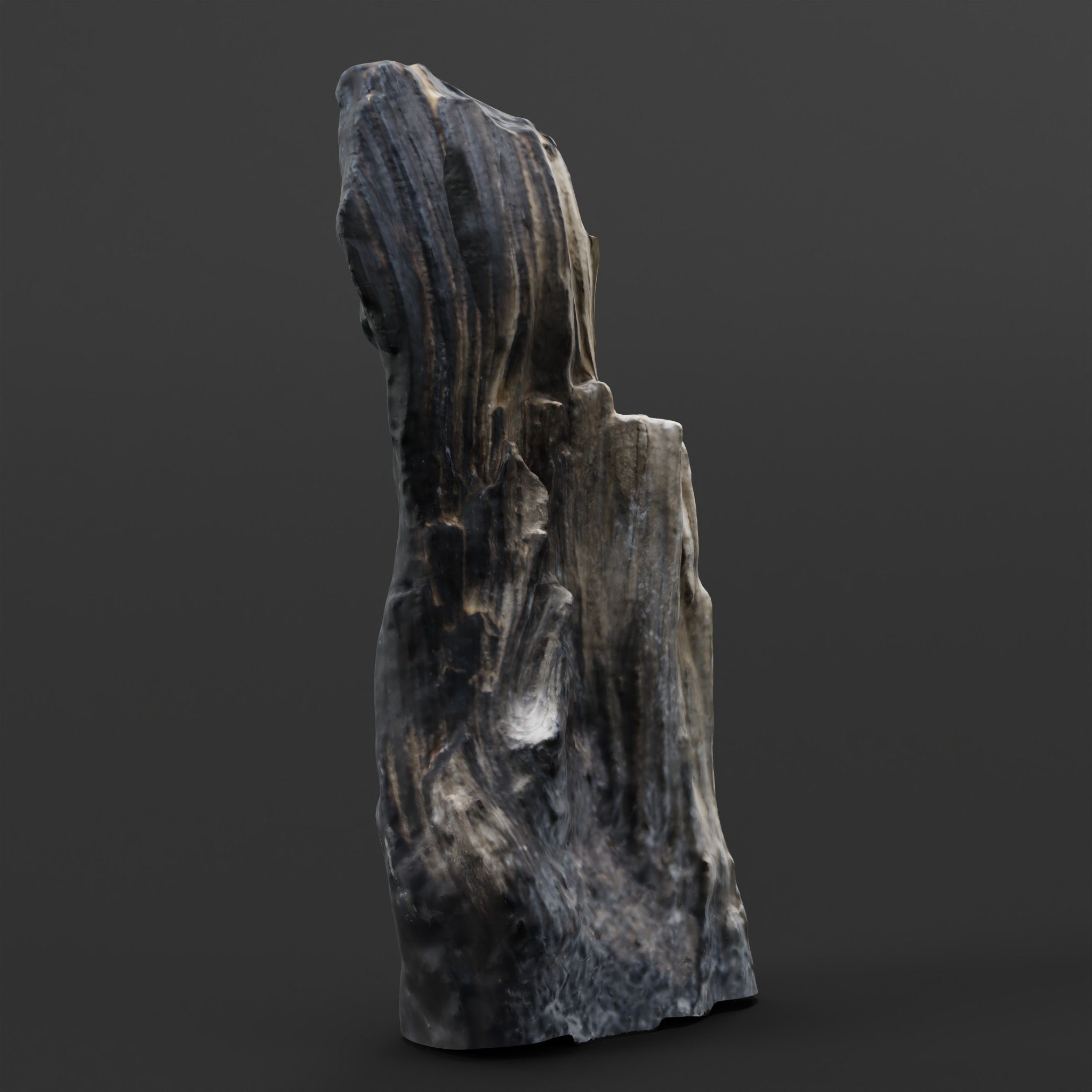 Burnt Log 01 | FREE Trees models | BlenderKit