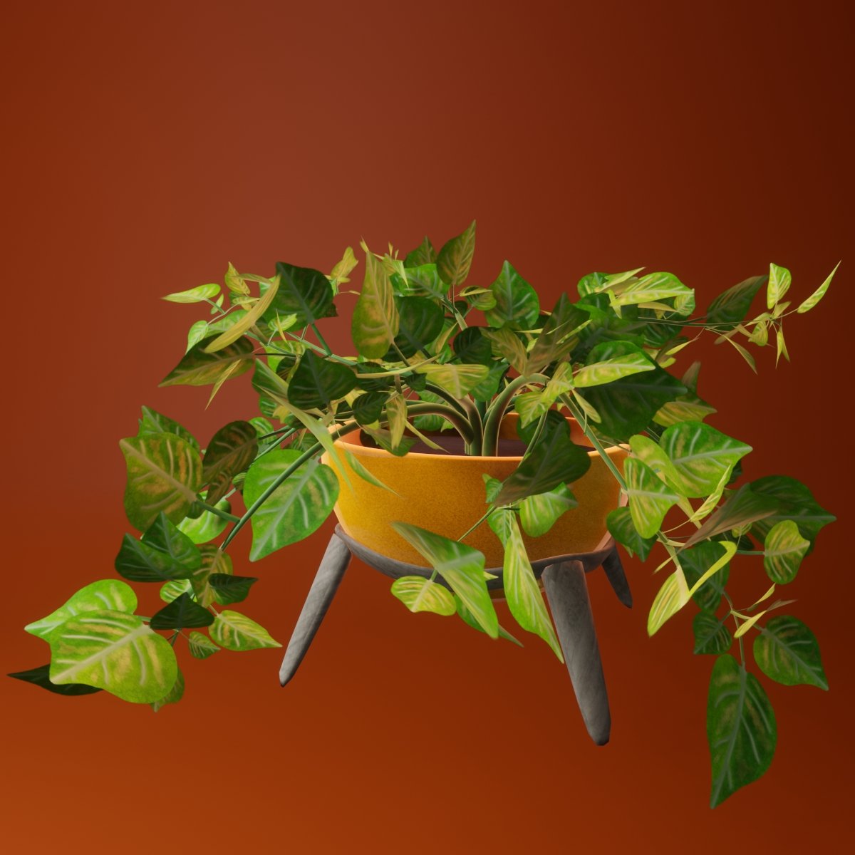 Golden pothos house plant | FREE Indoor Plants models | BlenderKit