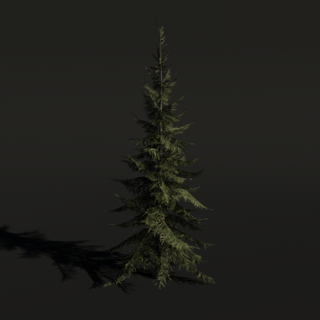 Tree SpruceSiberian b1 | Trees models | BlenderKit