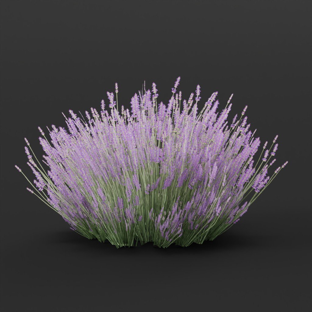 Lavender Flower Large | Outdoor Plants models | BlenderKit