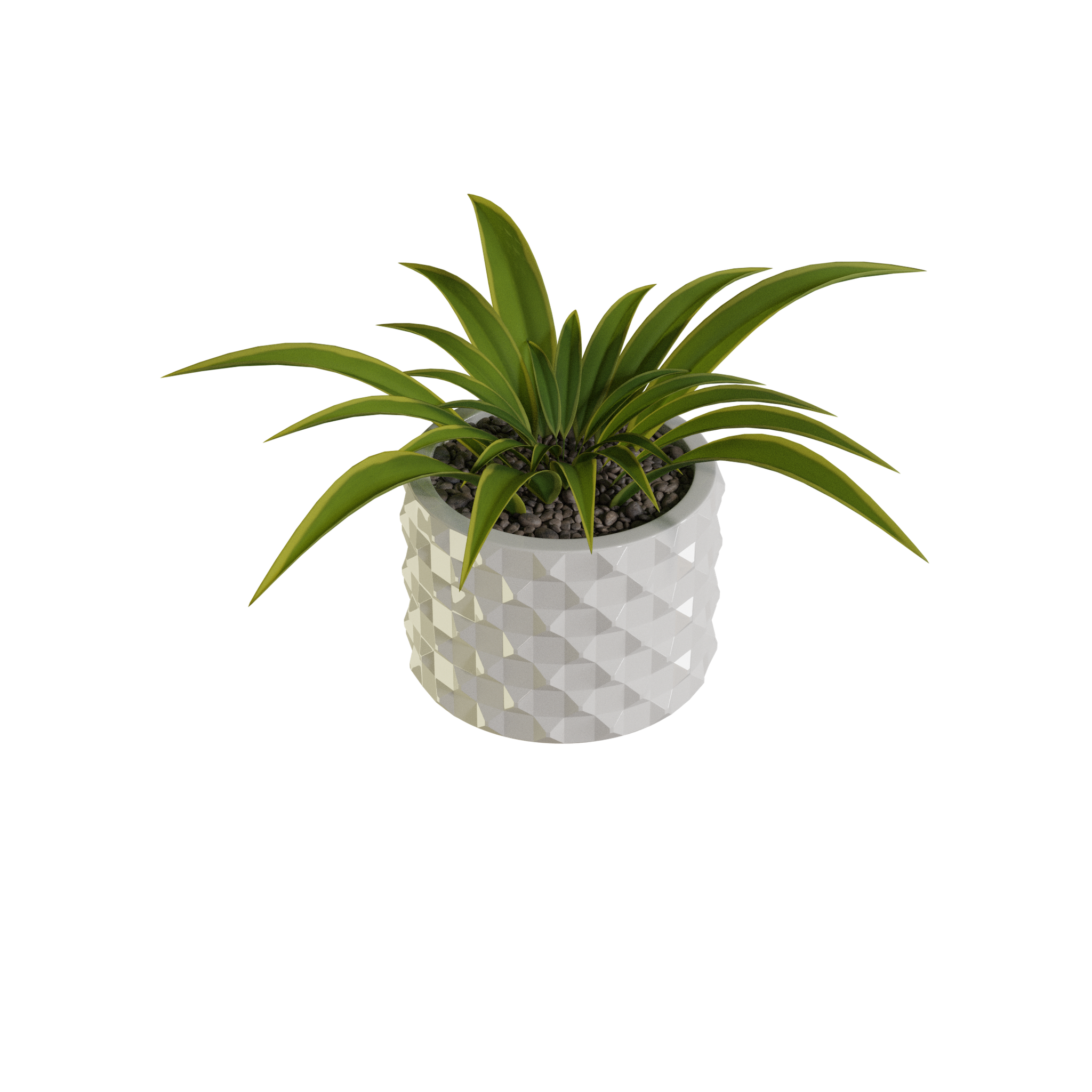 Modular plant | FREE Indoor Plants models | BlenderKit