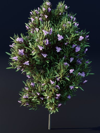 Oleander | Trees models | BlenderKit