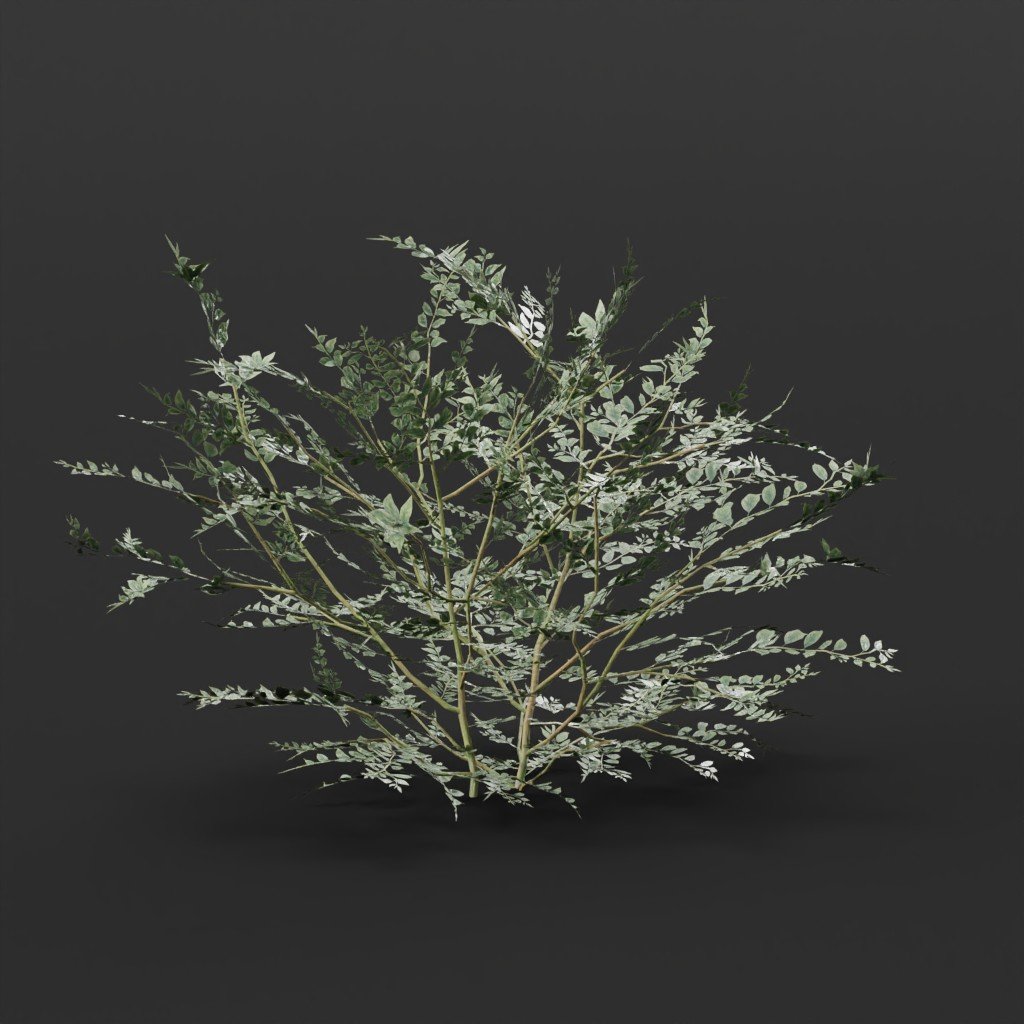 Ivory Bush | Outdoor Plants models | BlenderKit