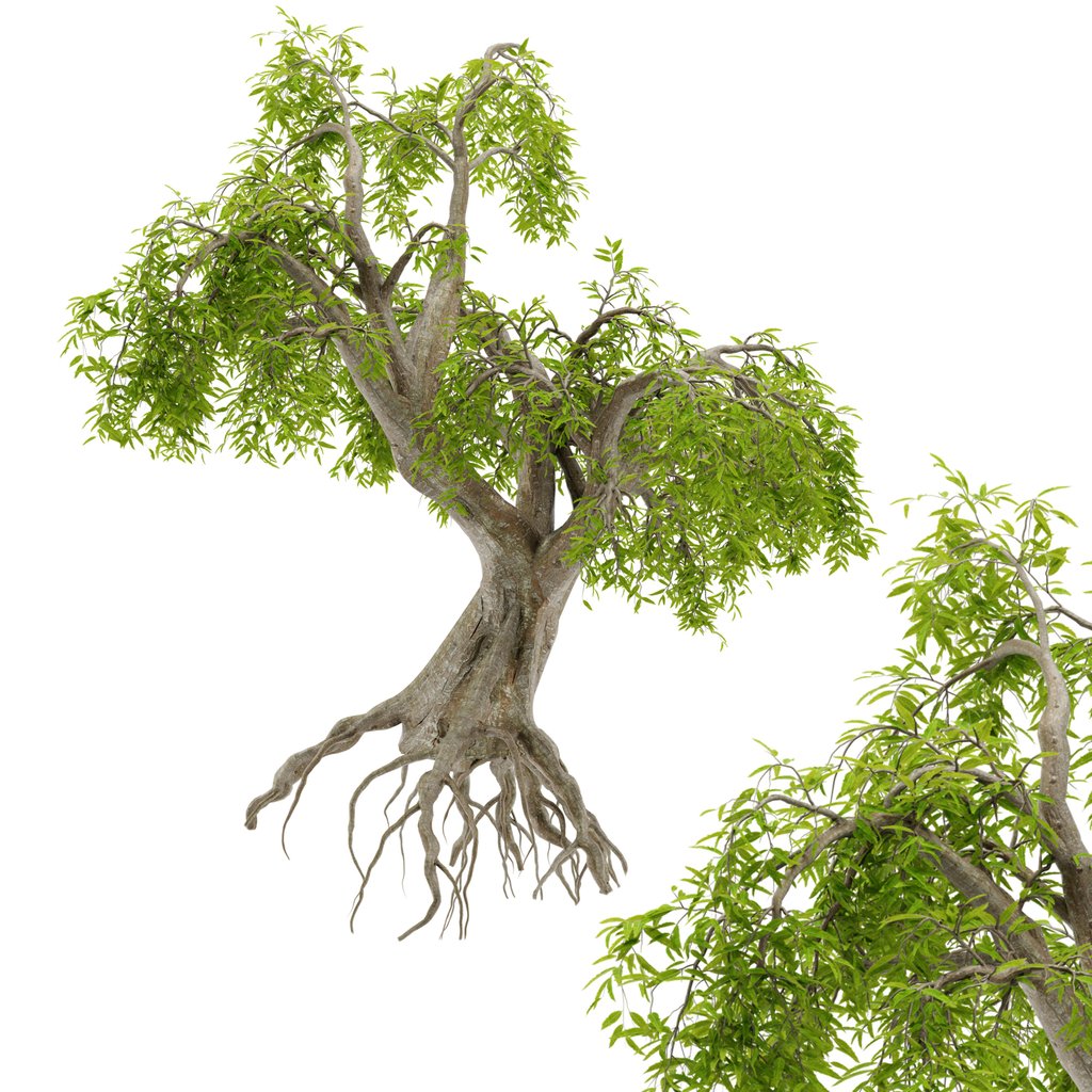 maginary tree a | Trees models | BlenderKit