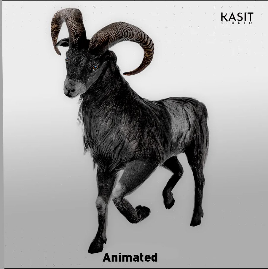 Ovis animated 1 | Mammals models | BlenderKit