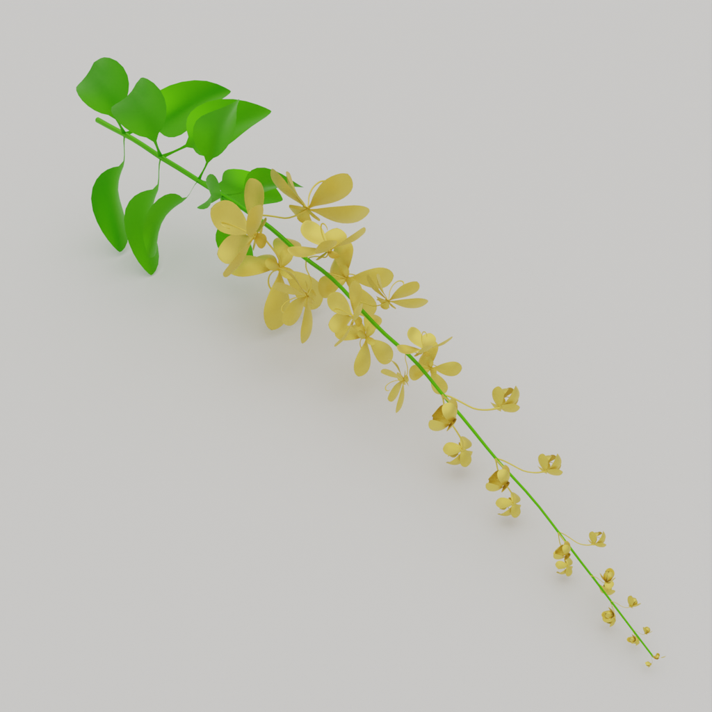 Konna Flower | Indoor Plants models | BlenderKit