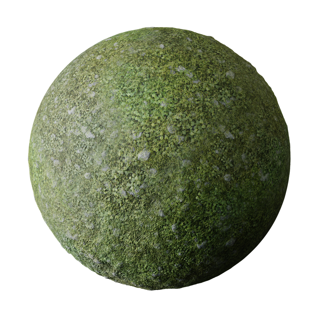 Grass Plants Rocks | FREE grass materials | BlenderKit