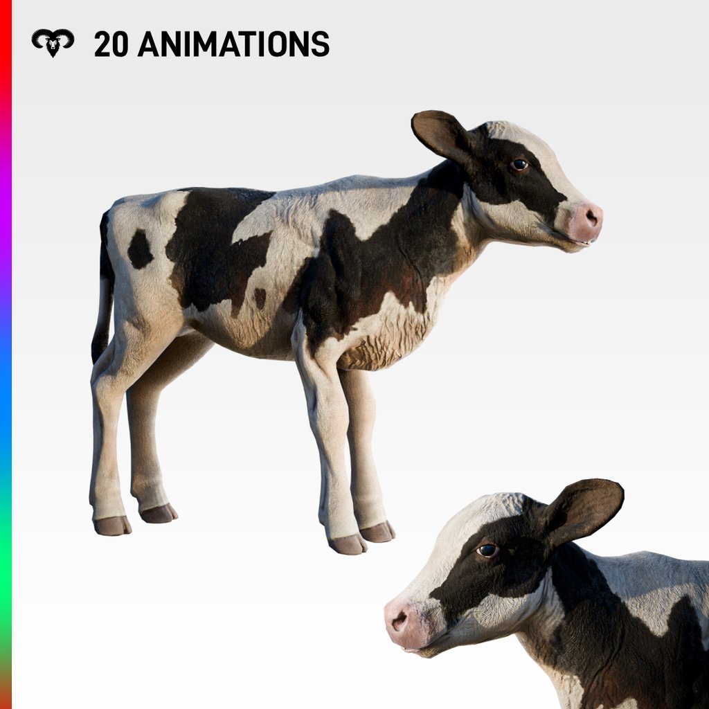 Calf | Mammals models | BlenderKit