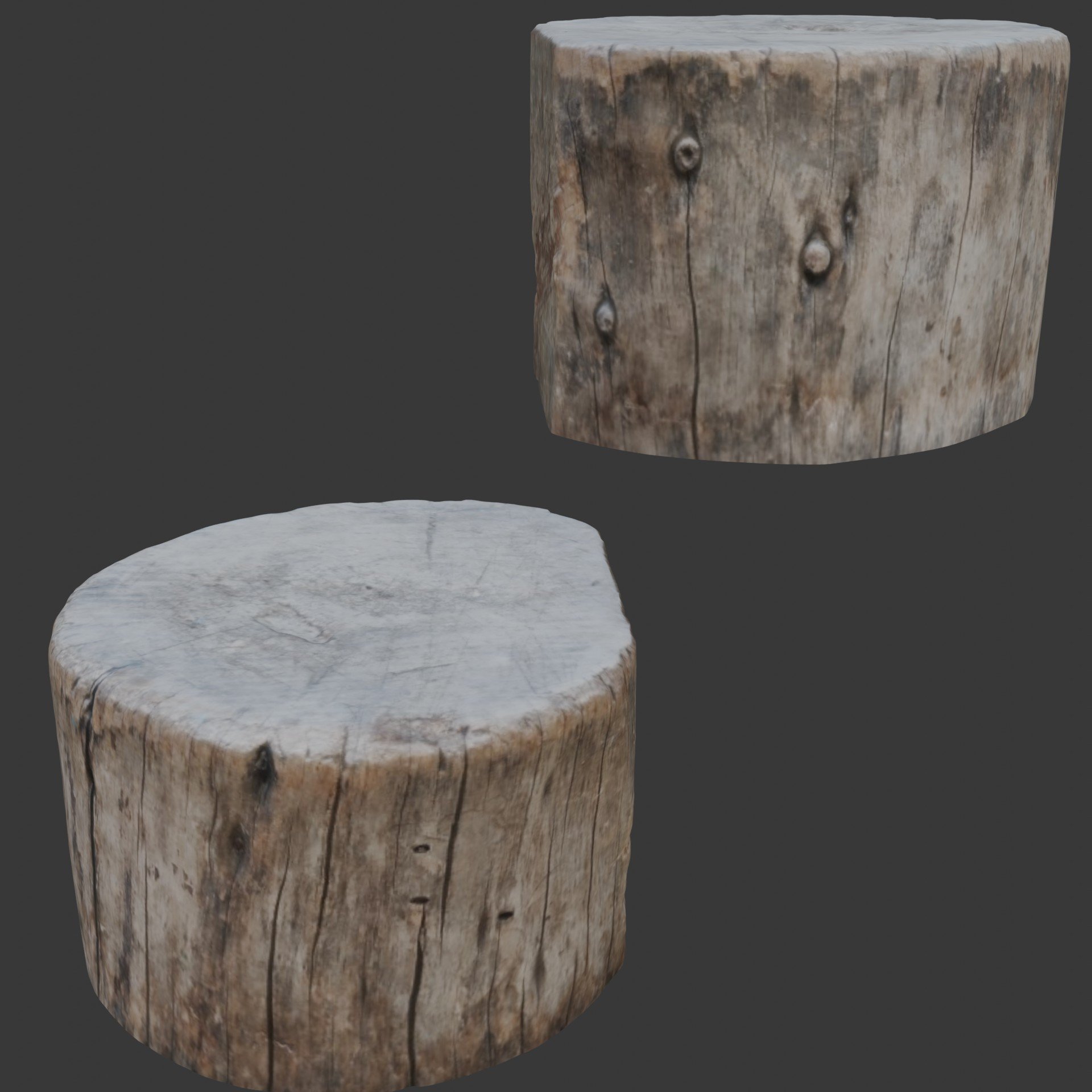 Tree Stump | FREE Plants models | BlenderKit