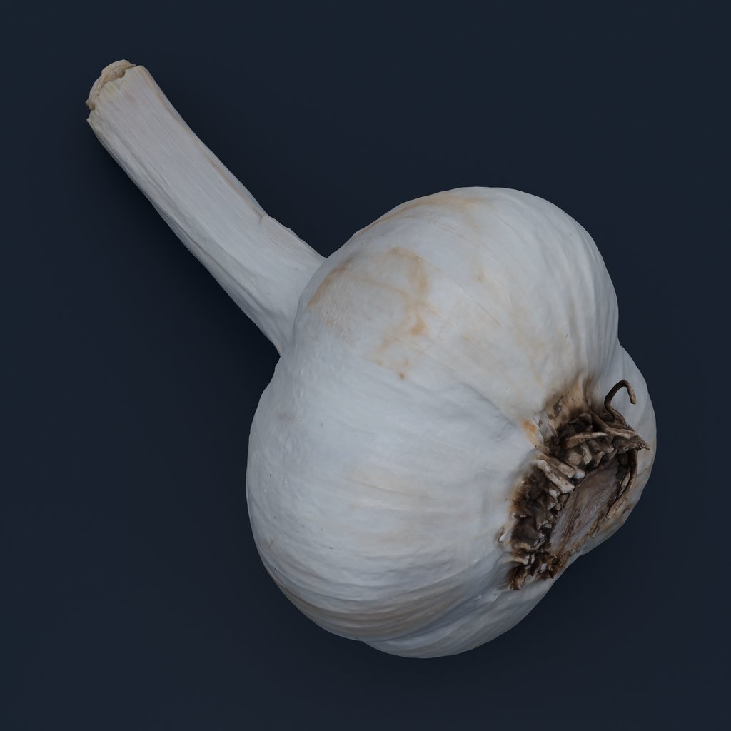 Garlic whole unpeeled head food scan | Fruit & Vegetables models ...