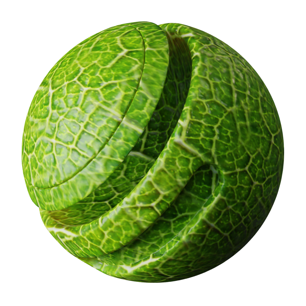 BlenderKit | Download the FREE Green Leaf material