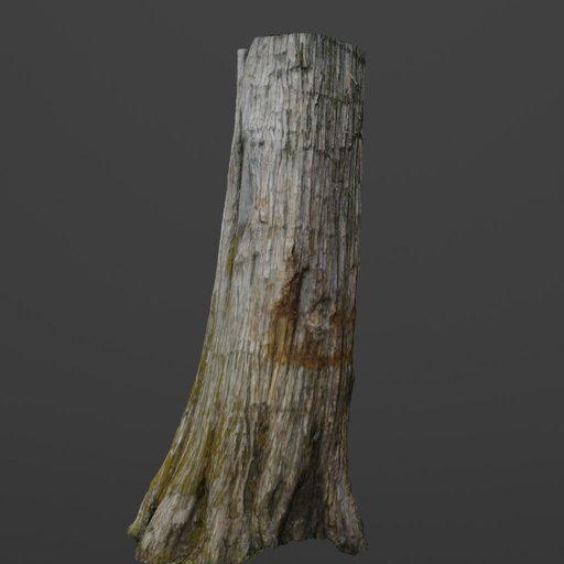Photoscanned Cedar Tree Trunk | FREE Trees models | BlenderKit