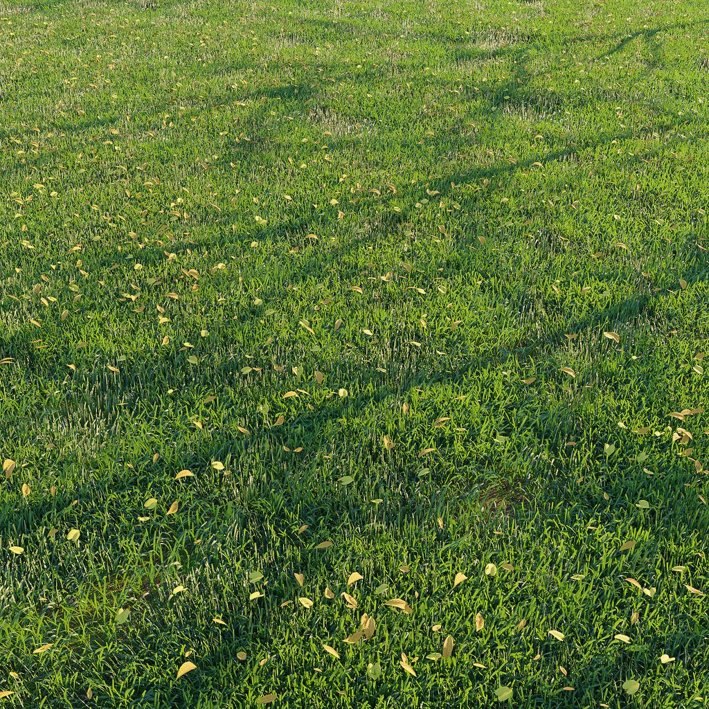 Grass | Grass models | BlenderKit