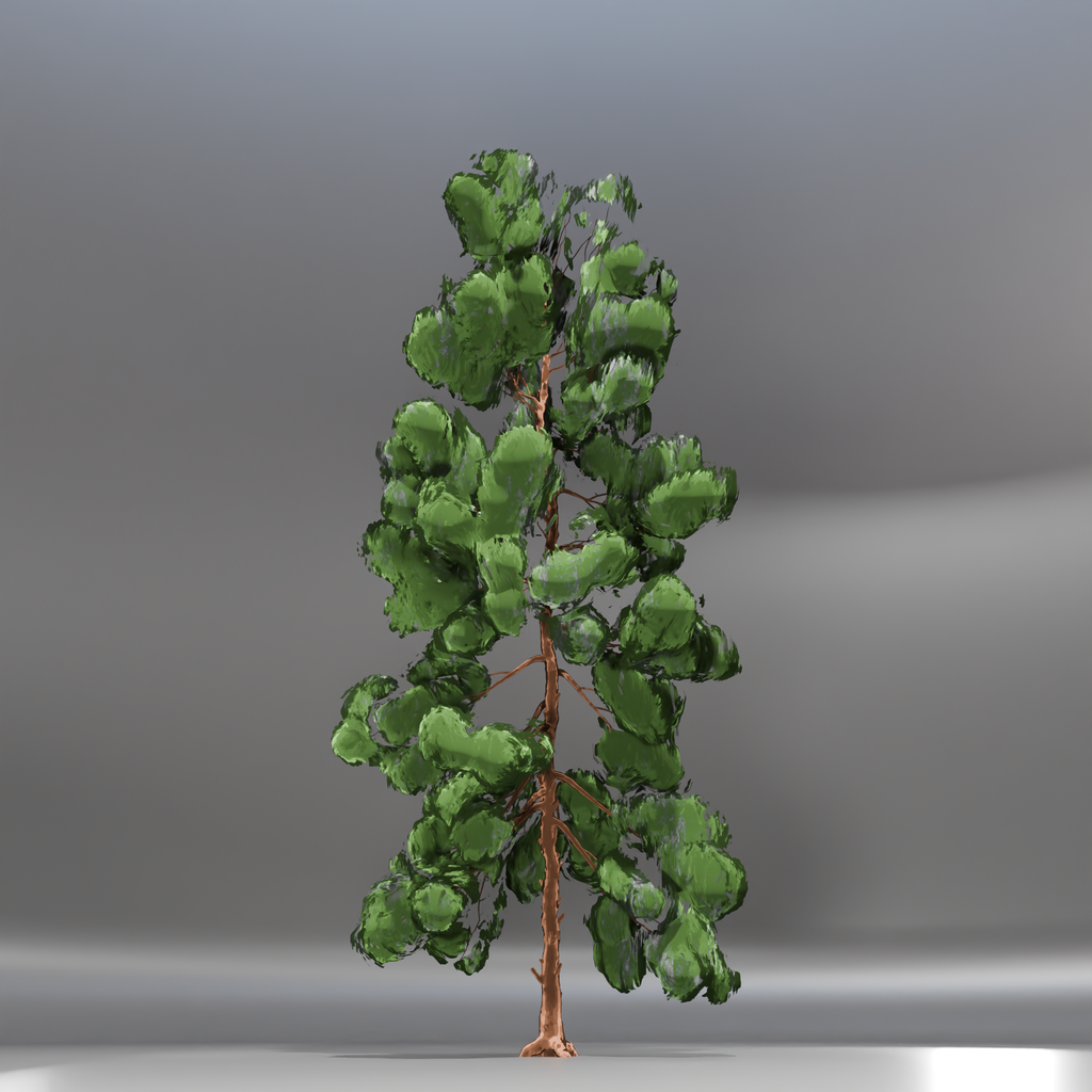 Pine Toon Tree | Trees models | BlenderKit