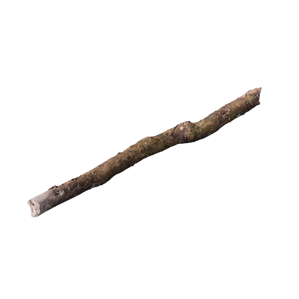 Branch | FREE Trees models | BlenderKit