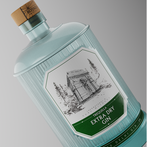 Extra dry GIN bottle | Beverages models | BlenderKit