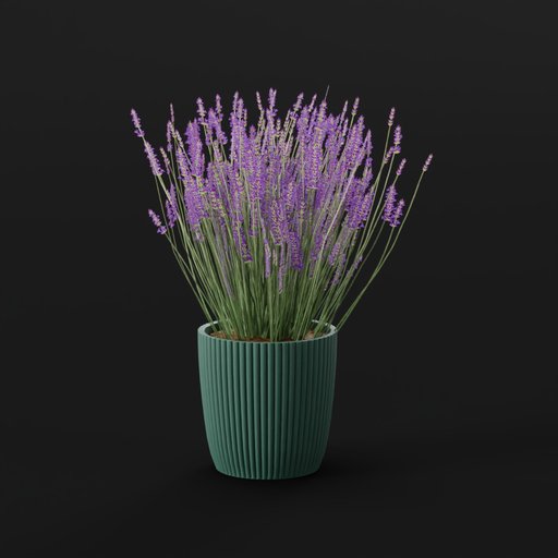 Lavender Flower Lrg Pot | Indoor Plants models | BlenderKit