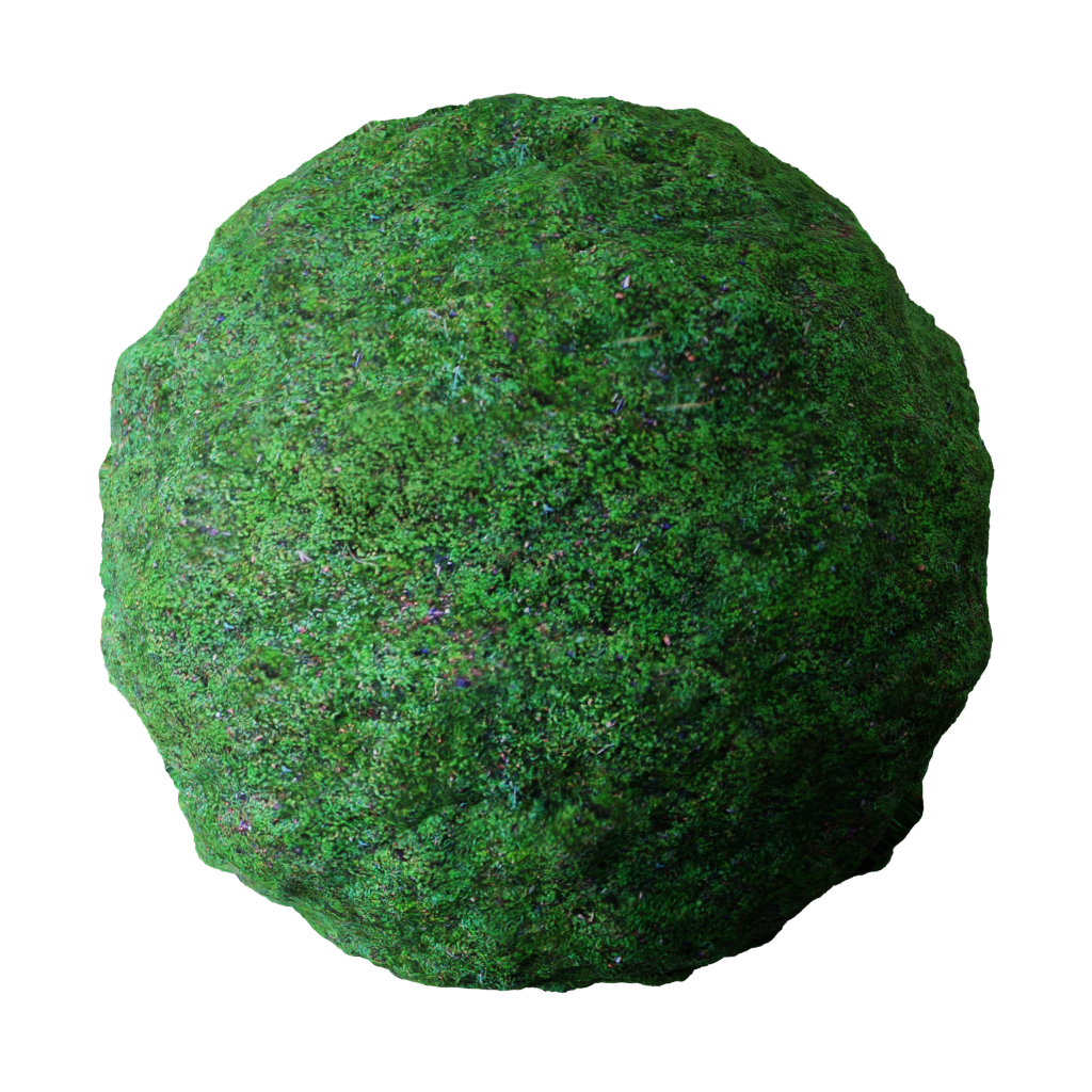 Moss | FREE organic materials | BlenderKit