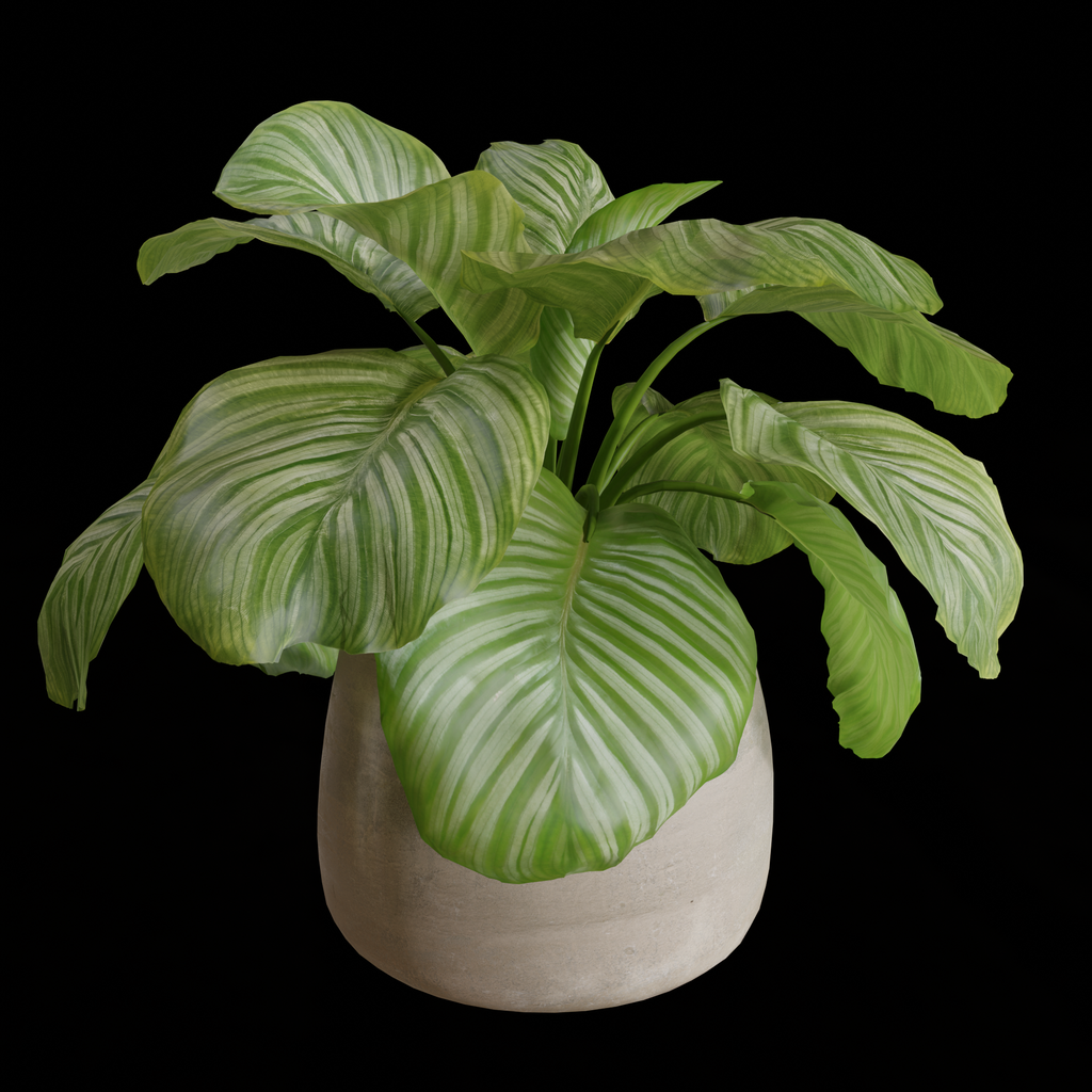 Plant pot | FREE Indoor Plants models | BlenderKit