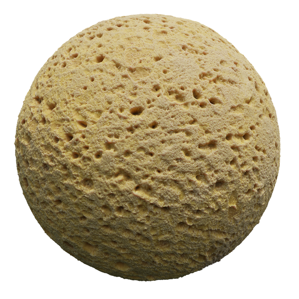 BlenderKit | Download the FREE Sponge Surface material