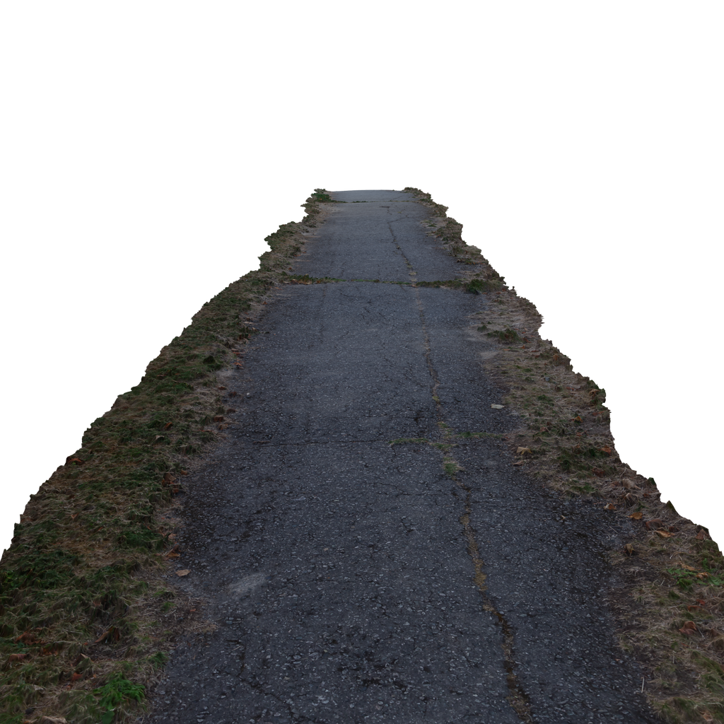 Pathway Photoscan | Terrains models | BlenderKit