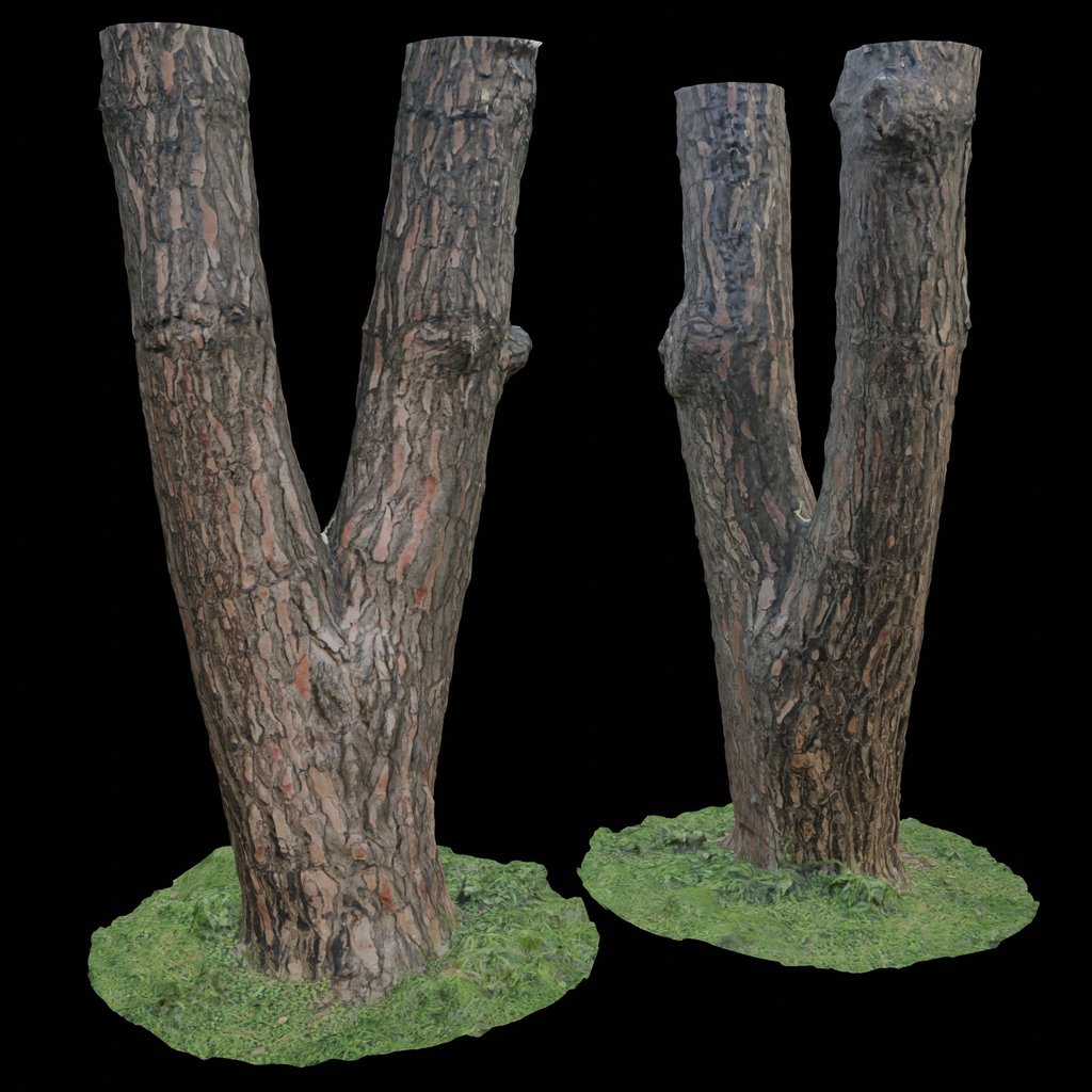 Tree | Trees models | BlenderKit