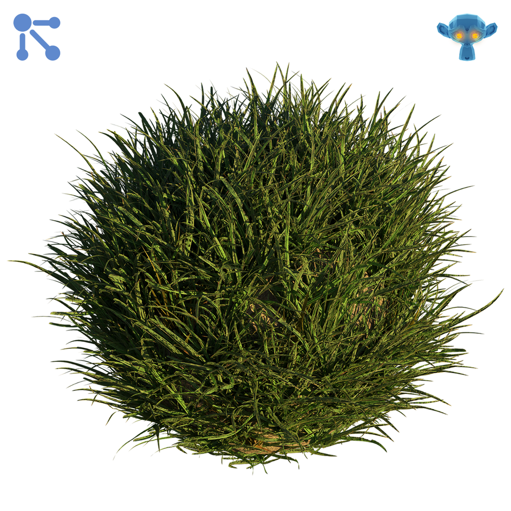 Grass | FREE Grass models | BlenderKit