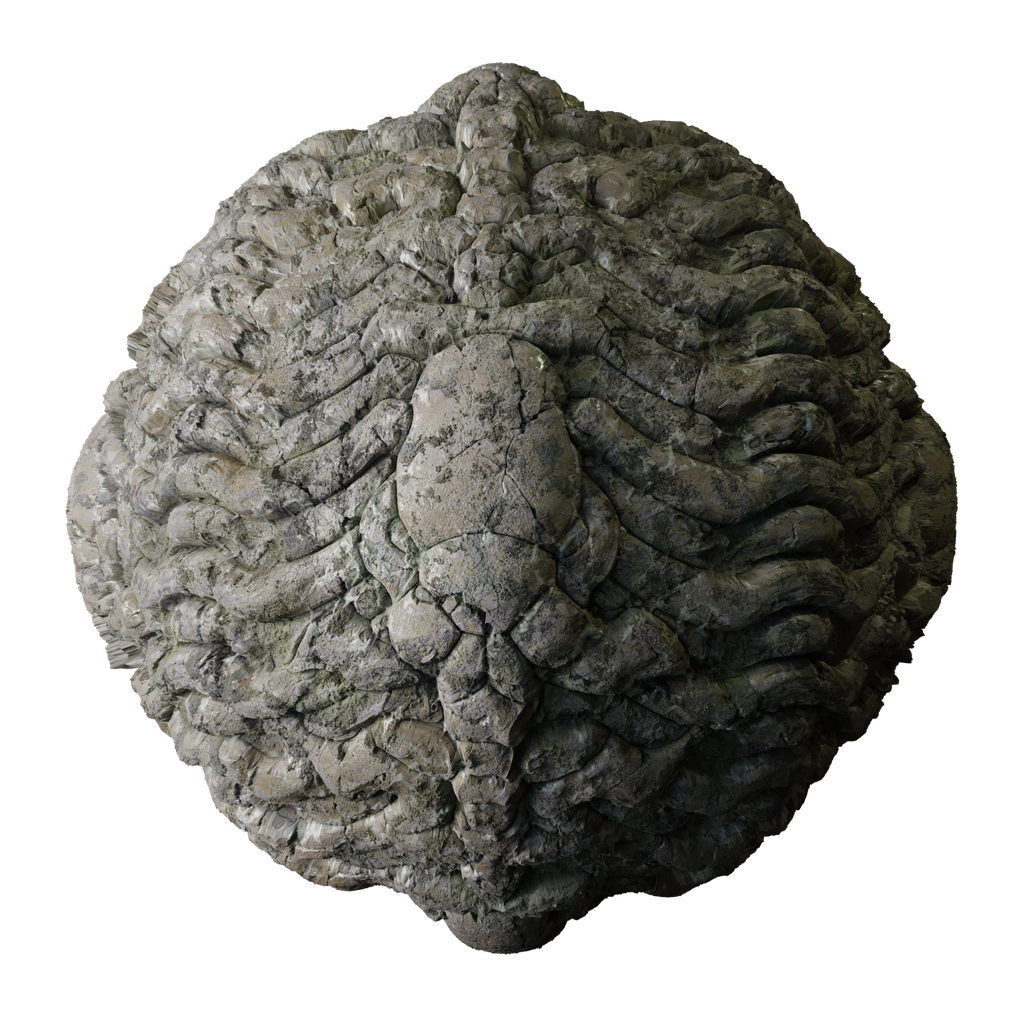 Alien Skeleton Fossil | FREE organic materials | BlenderKit