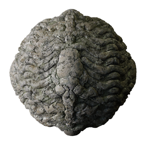 Alien Skeleton Fossil | FREE organic materials | BlenderKit