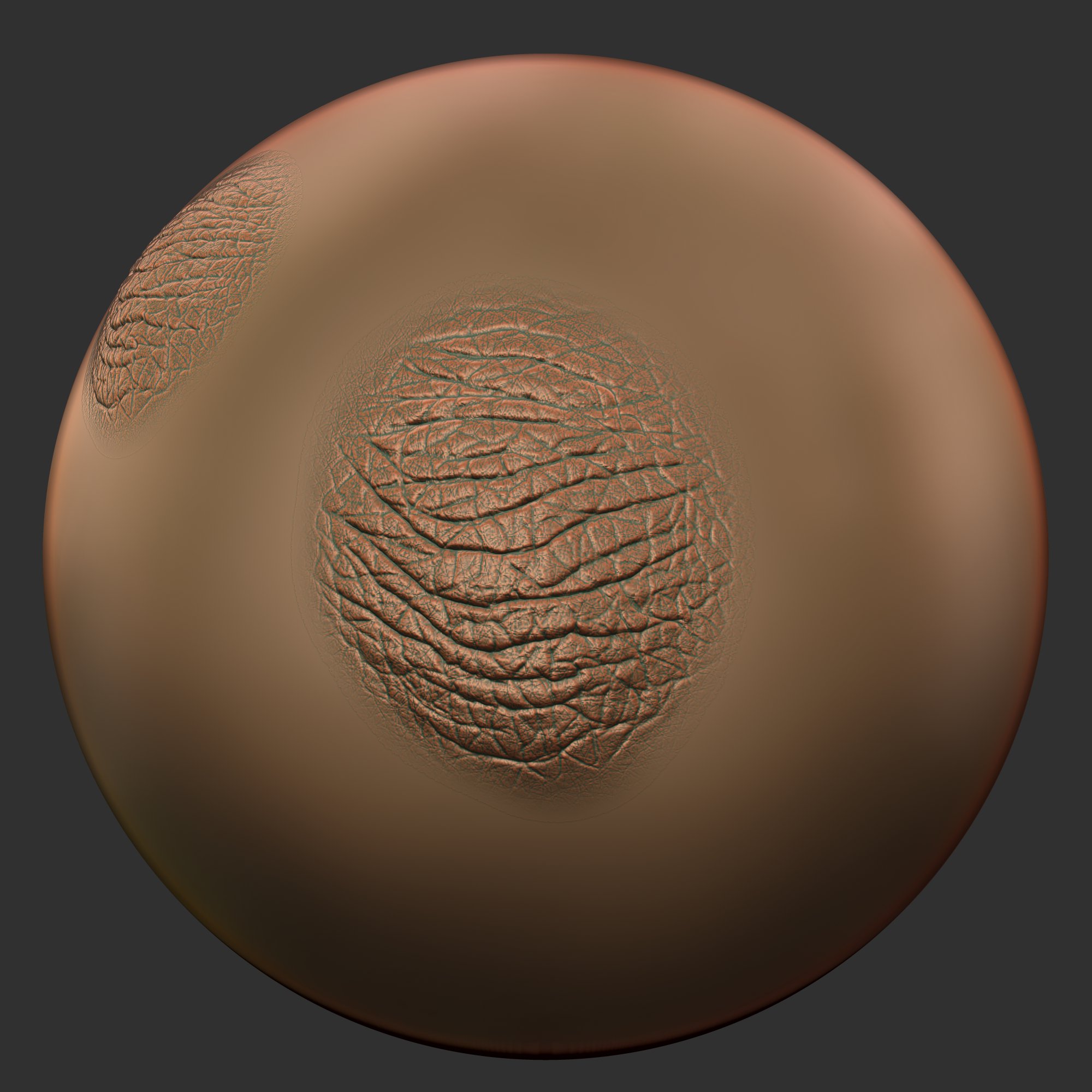 ER Human Skin(D) 17 | Human Skin brushes | BlenderKit