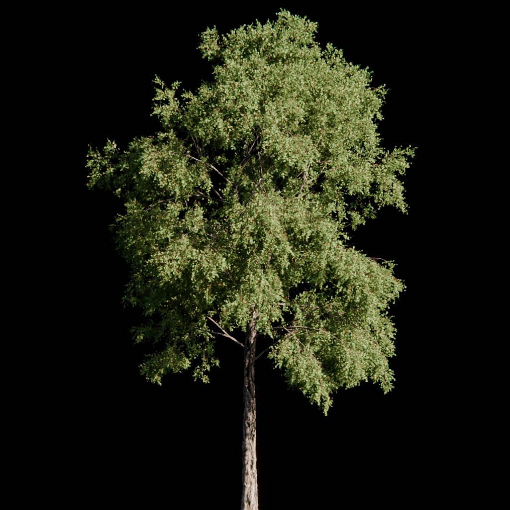 A tree | FREE Trees models | BlenderKit