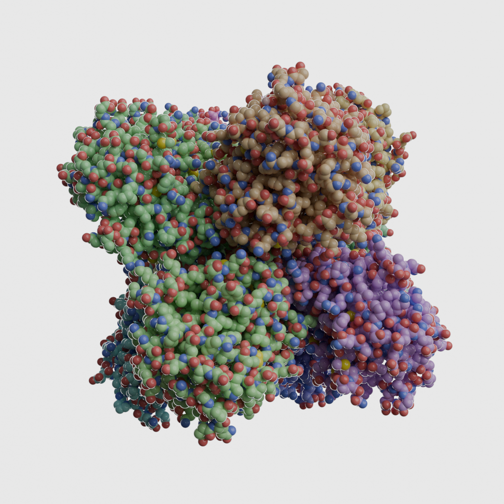 Trypsin | Microbiology models | BlenderKit