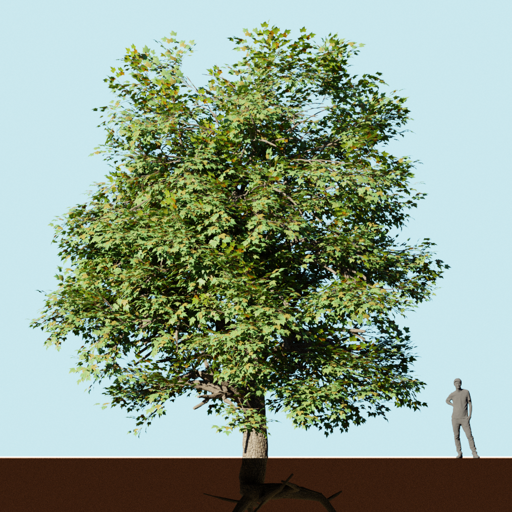 Stylized tree | FREE Trees models | BlenderKit