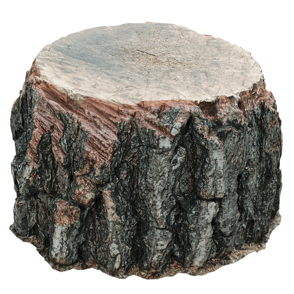 Cut log 04 - remeshed photoscan | FREE 3D Tree models | BlenderKit