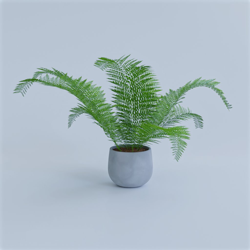 Fern plant | Indoor Plants models | BlenderKit