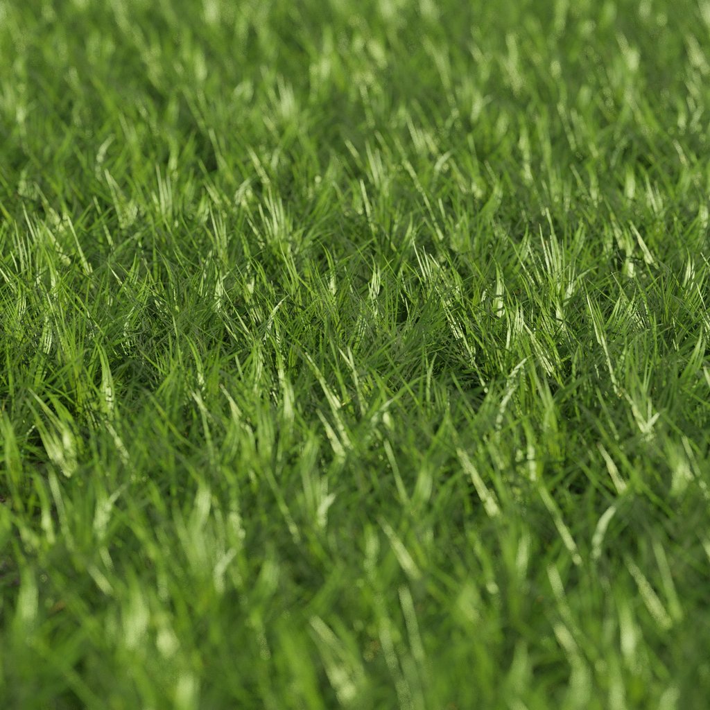BlenderKit | Download the FREE Grass - Large area model