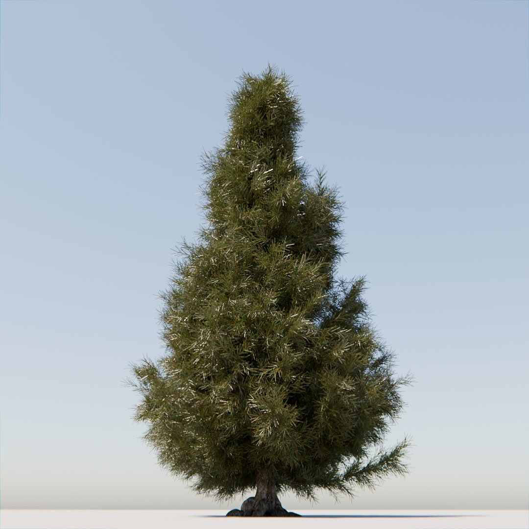 Coniferous Tree 05 | Trees models | BlenderKit
