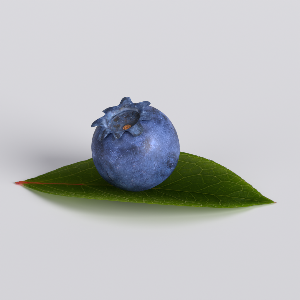 BlenderKit | Download the FREE Blueberry set model