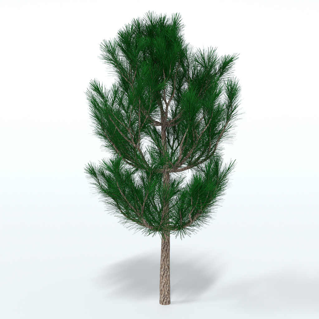 Pine Tree | Trees models | BlenderKit