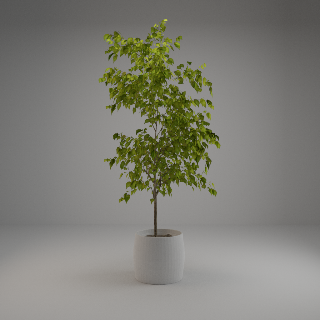 Small Tree 002 | Trees models | BlenderKit