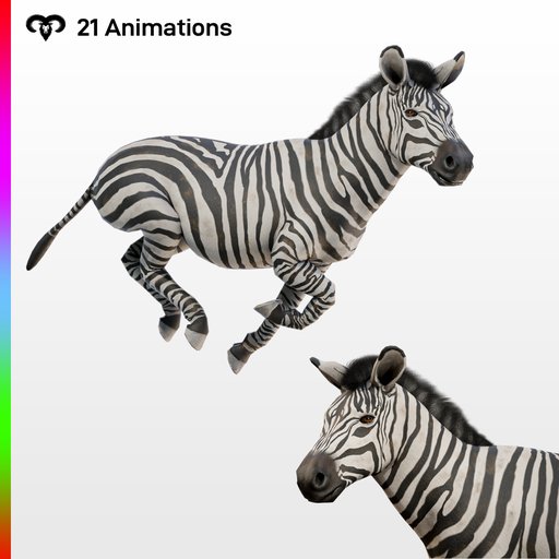 Female Zebra Animated | Mammals models | BlenderKit