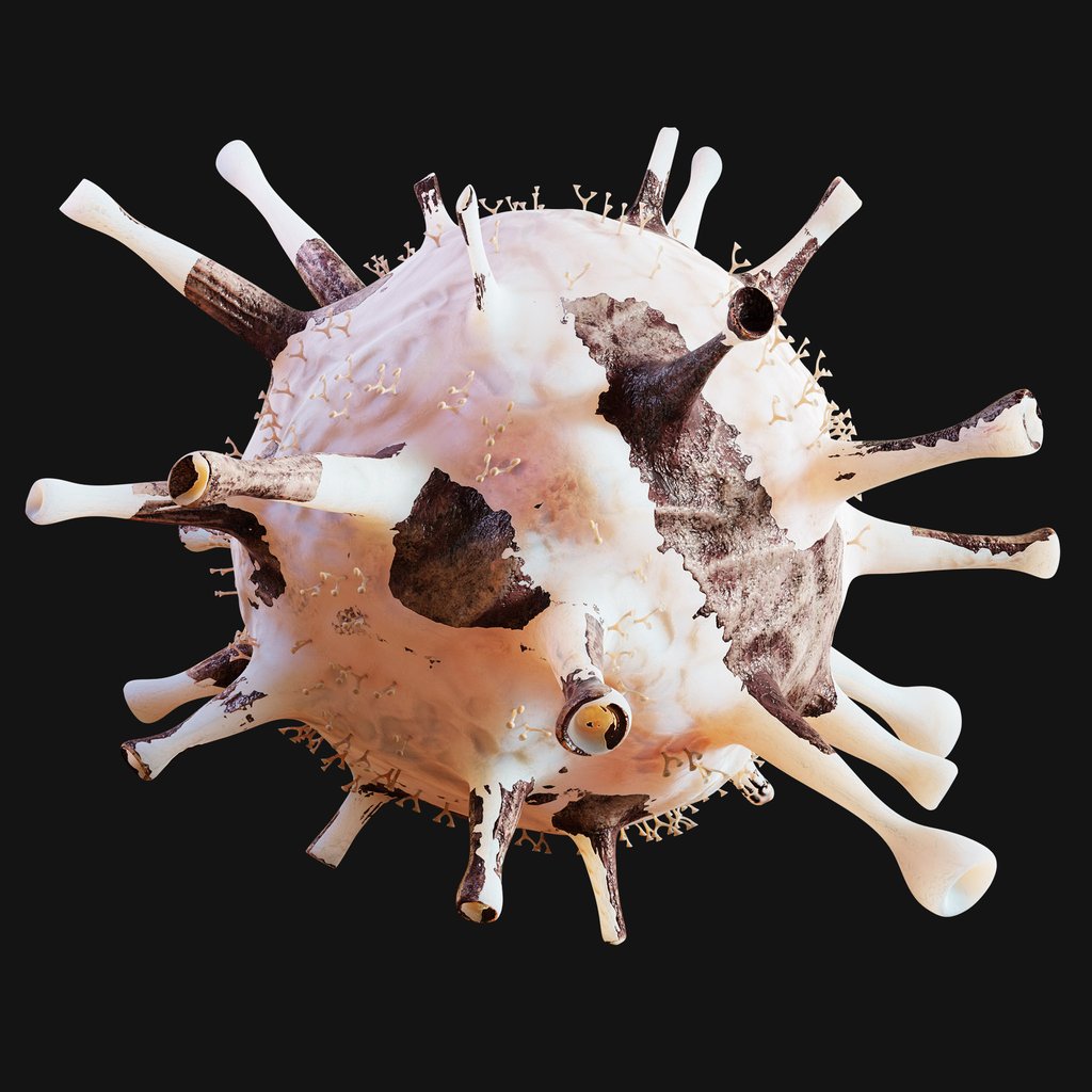 Virus | FREE Microbiology models | BlenderKit
