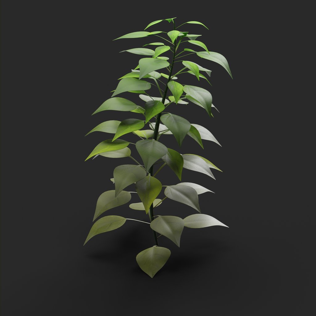 BlenderKit | Download the FREE Random Plant 01 model