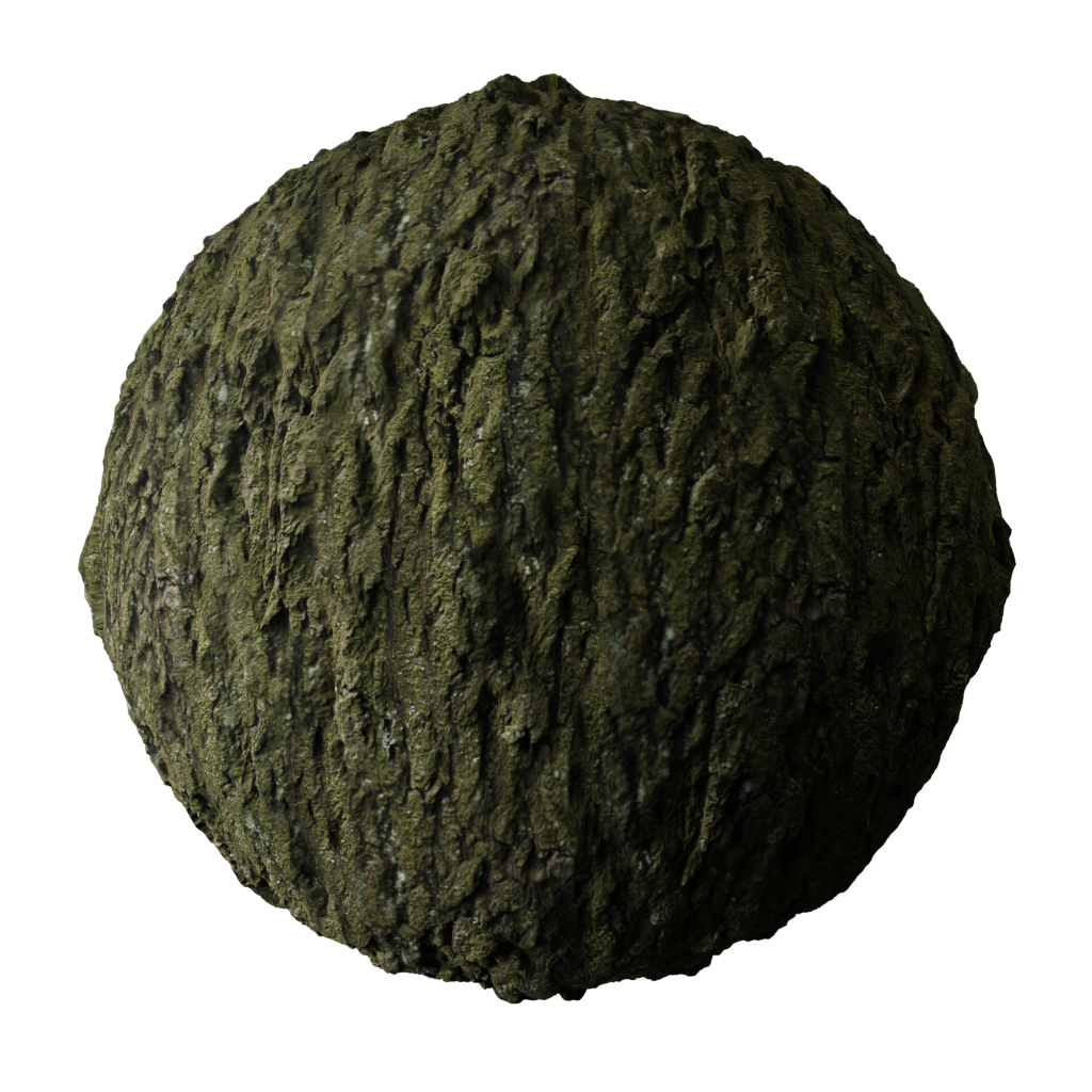 Tree Bark | FREE wood materials | BlenderKit