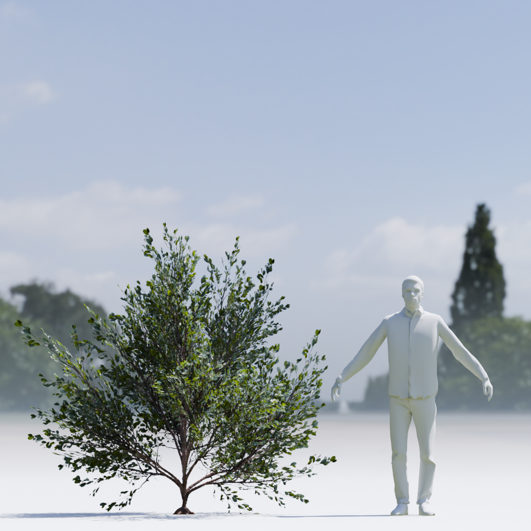 Bush lowpoly animated | Trees models | BlenderKit