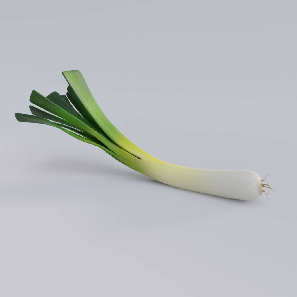 Leek | Outdoor Plants models | BlenderKit